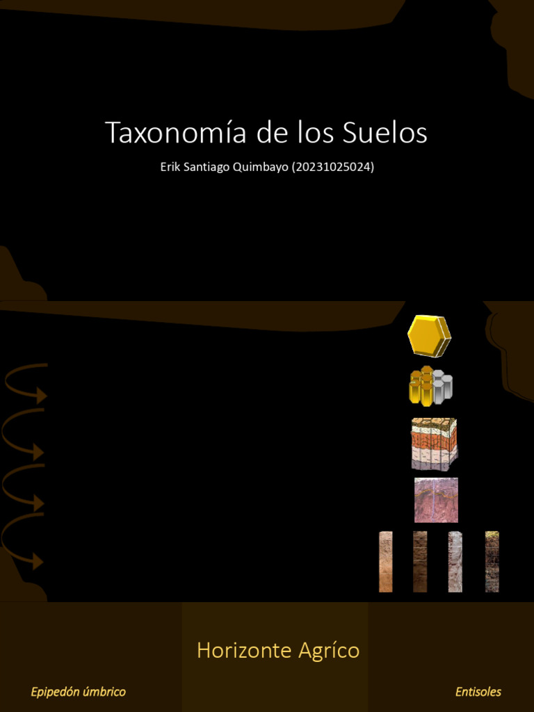 Diapositivas Suelos | PDF | Suelo | Arcilla