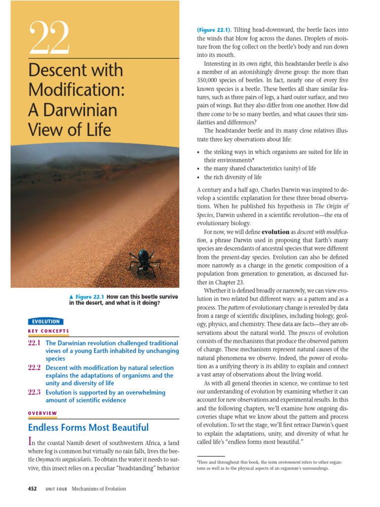 Darwin's Evolutionary Theory Explained | PDF | Charles Darwin | Evolution