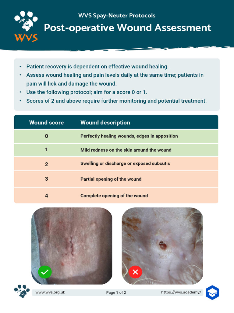 Home Care for Wound Dehiscence | PDF
