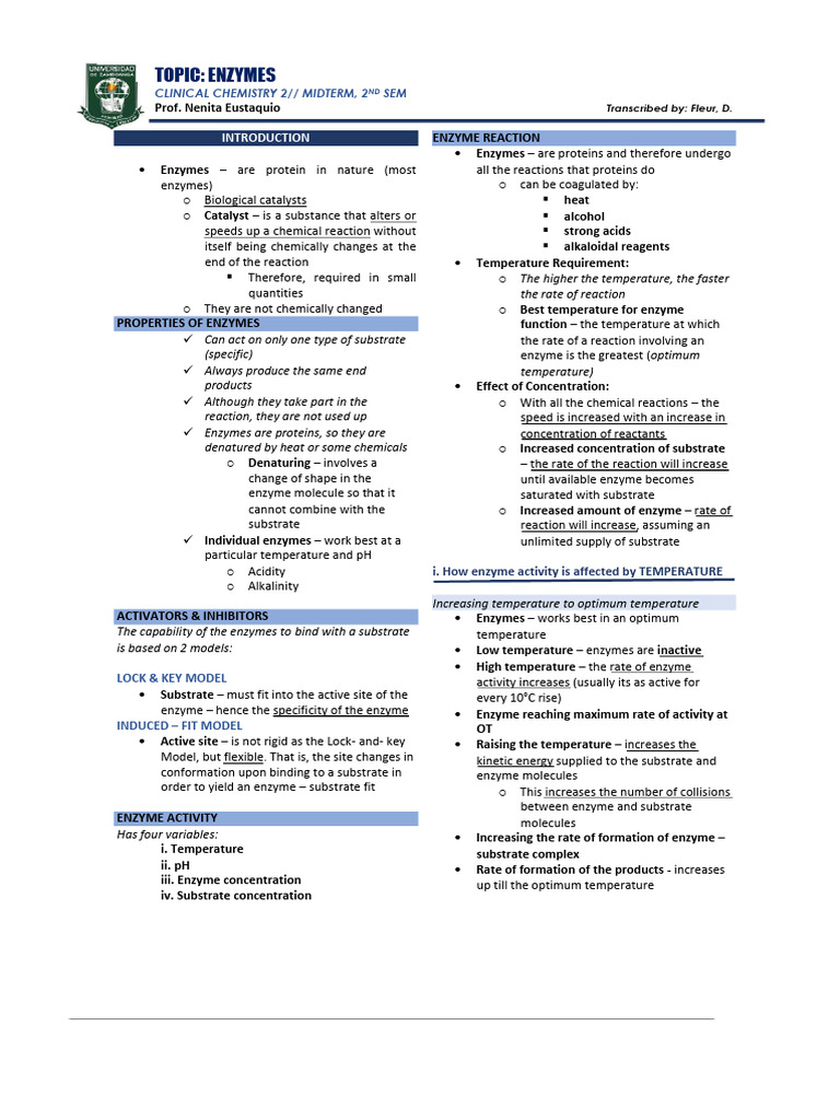 Enzymes - Molecular Biology Outline | PDF | Enzyme | Active Site