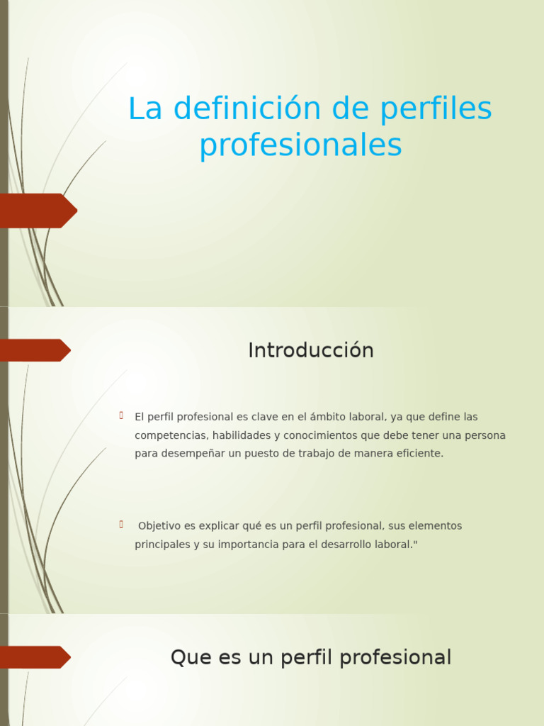 Definición y elementos del perfil profesional | PDF