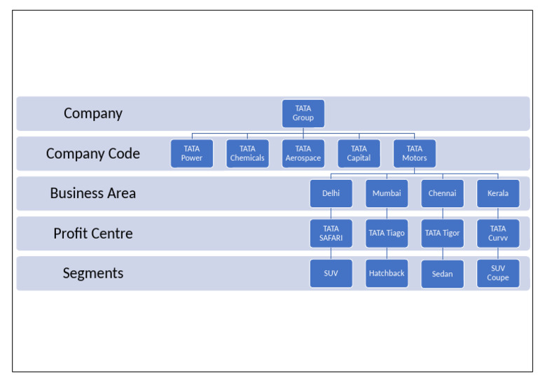 FICO ORG Structure | PDF