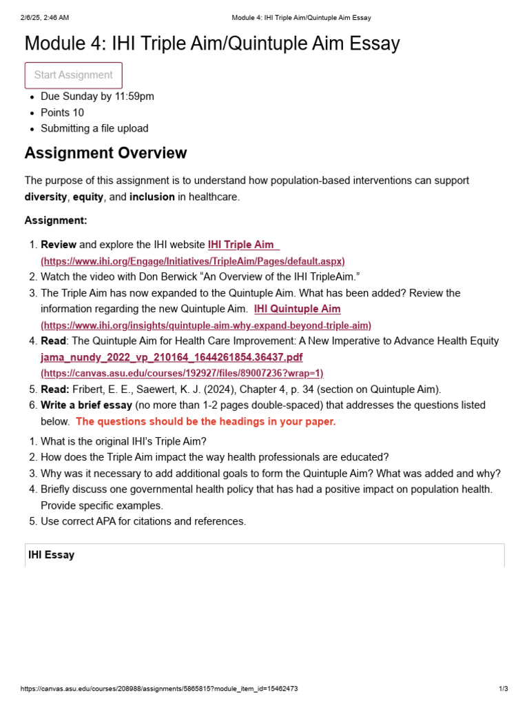 Module 4 - IHI Triple Aim - Quintuple Aim Essay | PDF