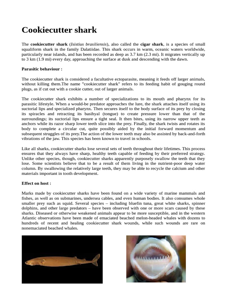 vertibrate parasite | PDF | Bat | Zoology