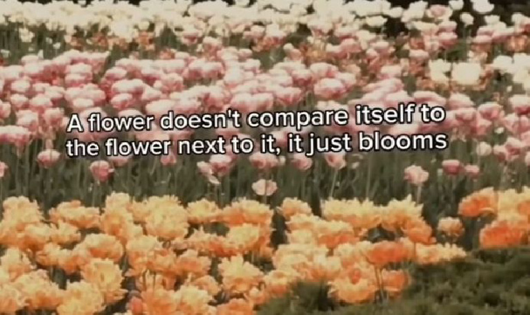 Gescand 20250324-0807 | PDF