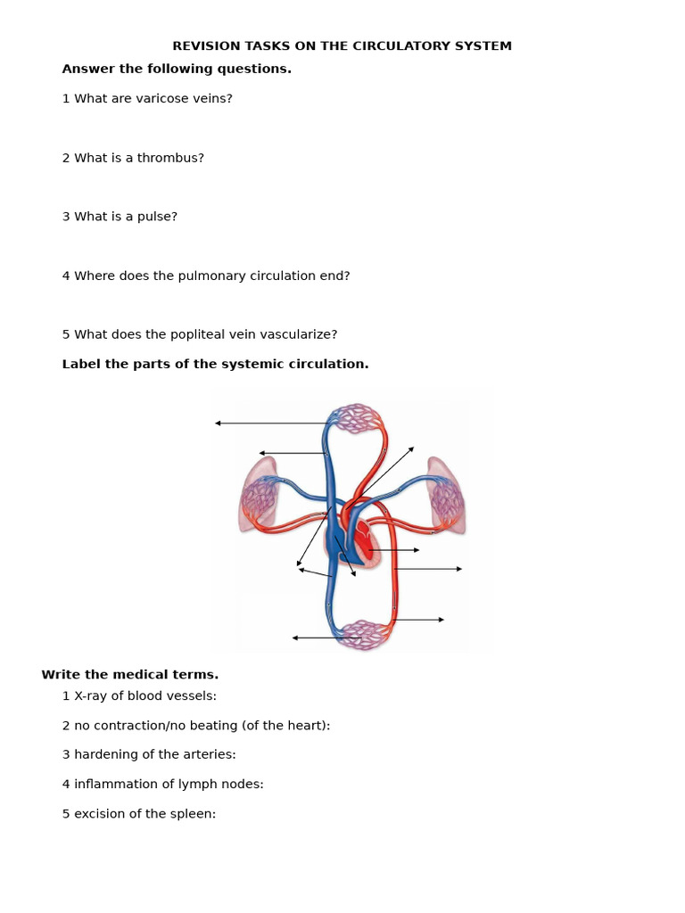 Revision Tasks On The Circulatory System | PDF