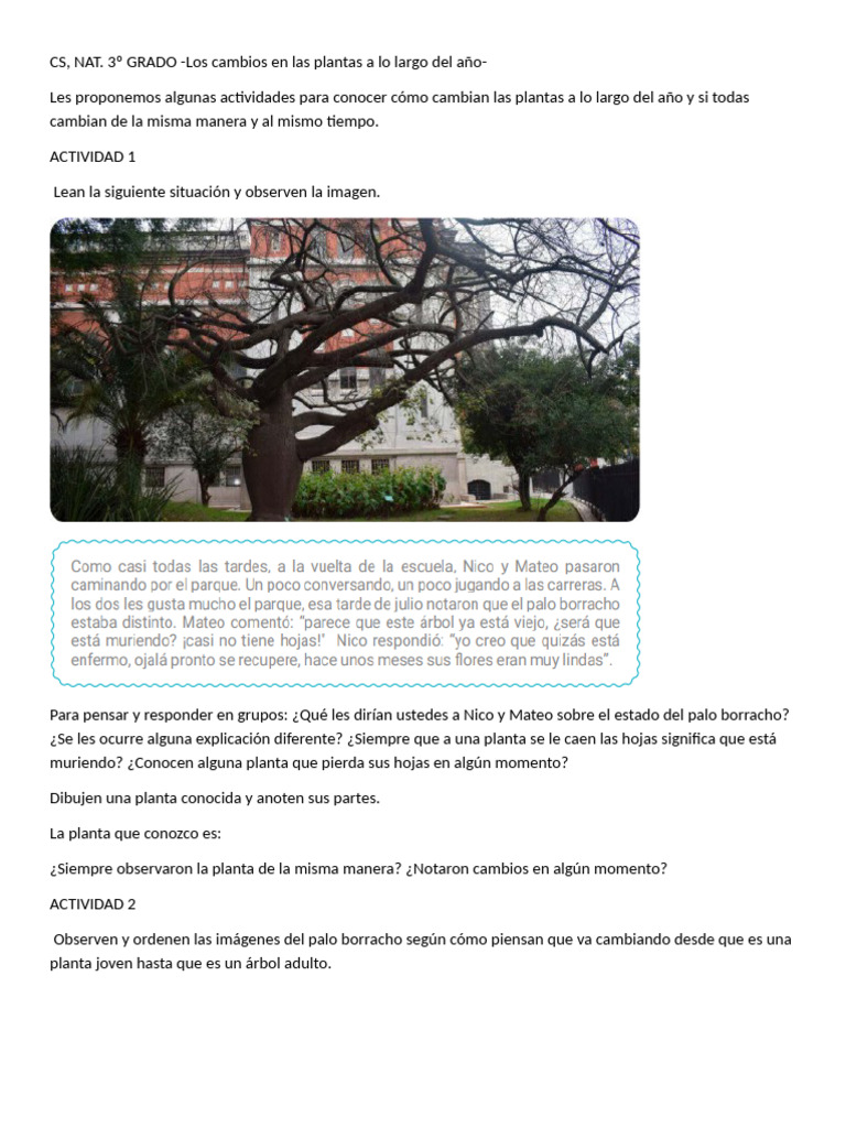 Cambios en las plantas durante el año | PDF | Plantas | Botánica