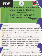 Ragaa Baajata Iskeelii Miindaa Aanaa A Reeddee 2017 Poolisii | PDF
