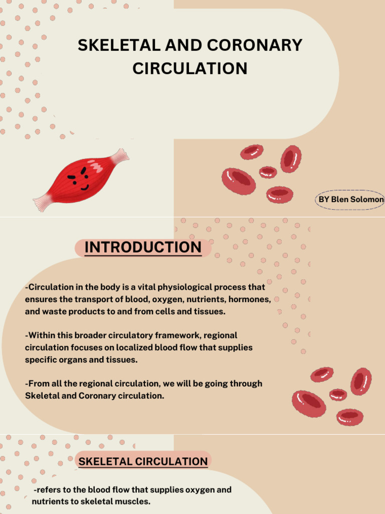 Skeletal Circulation Final | PDF | Circulatory System | Vasodilation