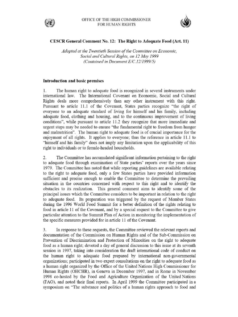General Comment 11 | PDF