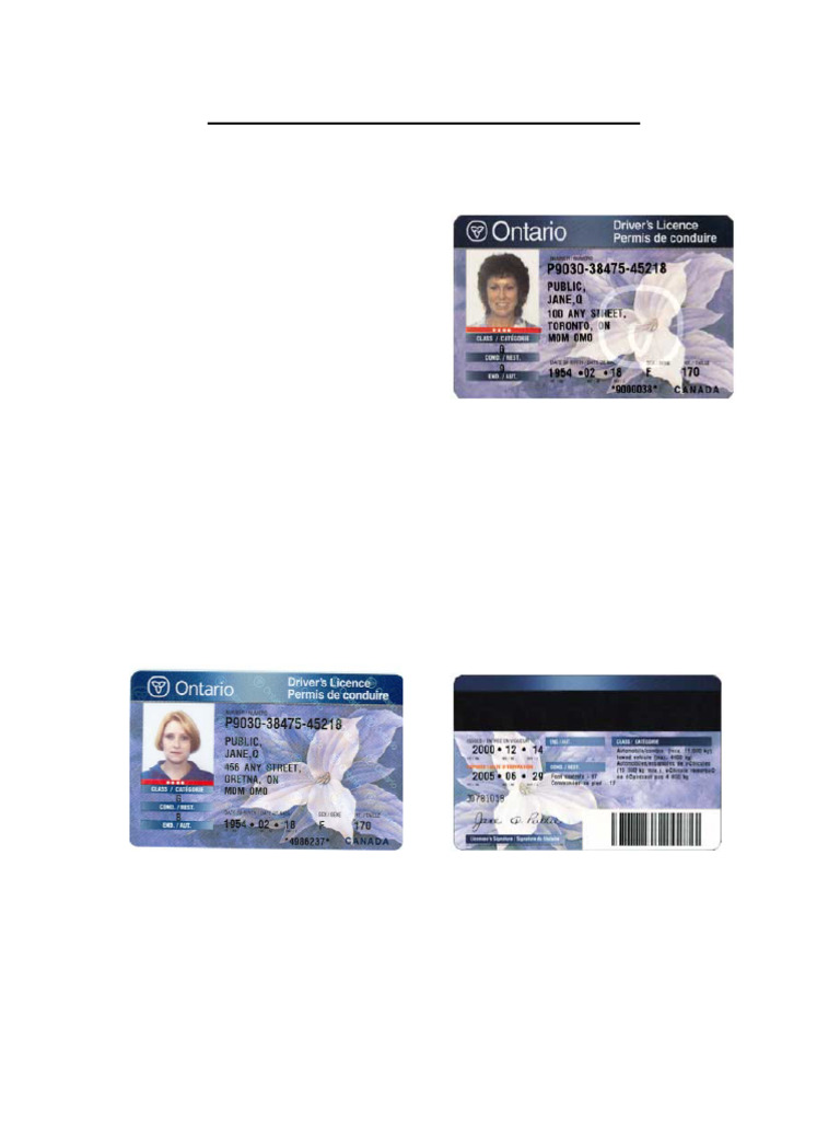 id_of_driver_licence1 | PDF | Driver's License | Identity Document