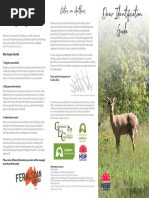 Grade 5 History Term 1 Notes | PDF | Rock Art