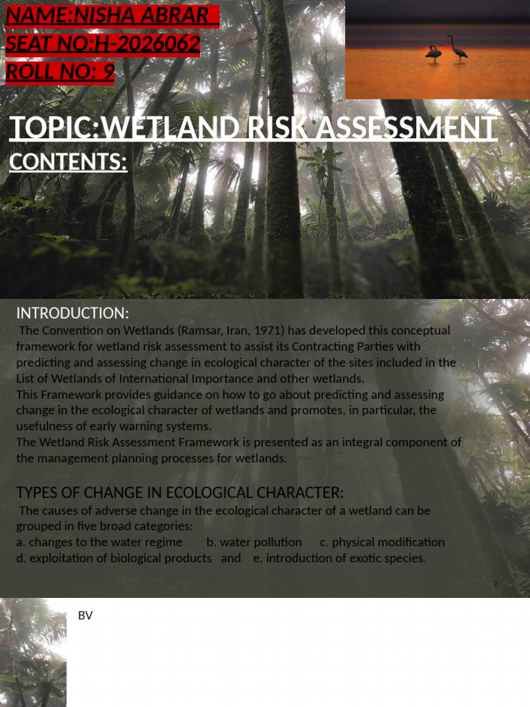 Copy of Tropical Rainforest PowerPoint Template #54527 | PDF