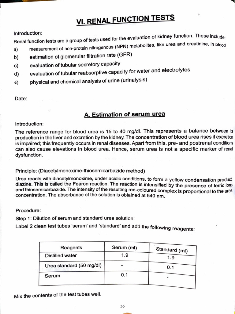 Estimation of Urea, Normal and Abnormal Urine Analysis | PDF