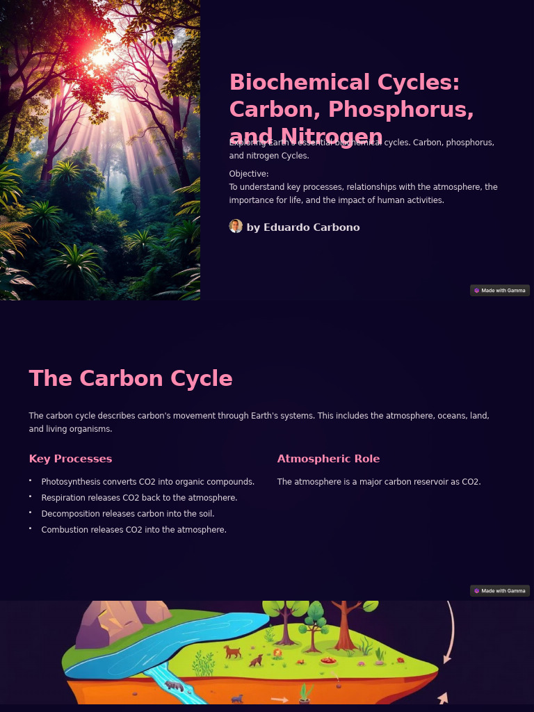 Biochemical Cycles Carbon Phosphorus and Nitrogen | PDF | Soil | Carbon ...