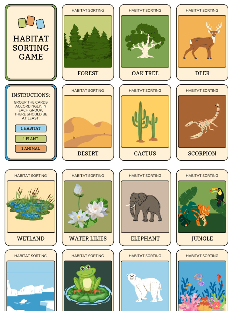 Habitat Sorting Game Flashcard in Green Cream Lined Style | PDF