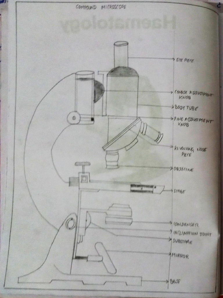 Physiology Practical Record Abhinav | PDF