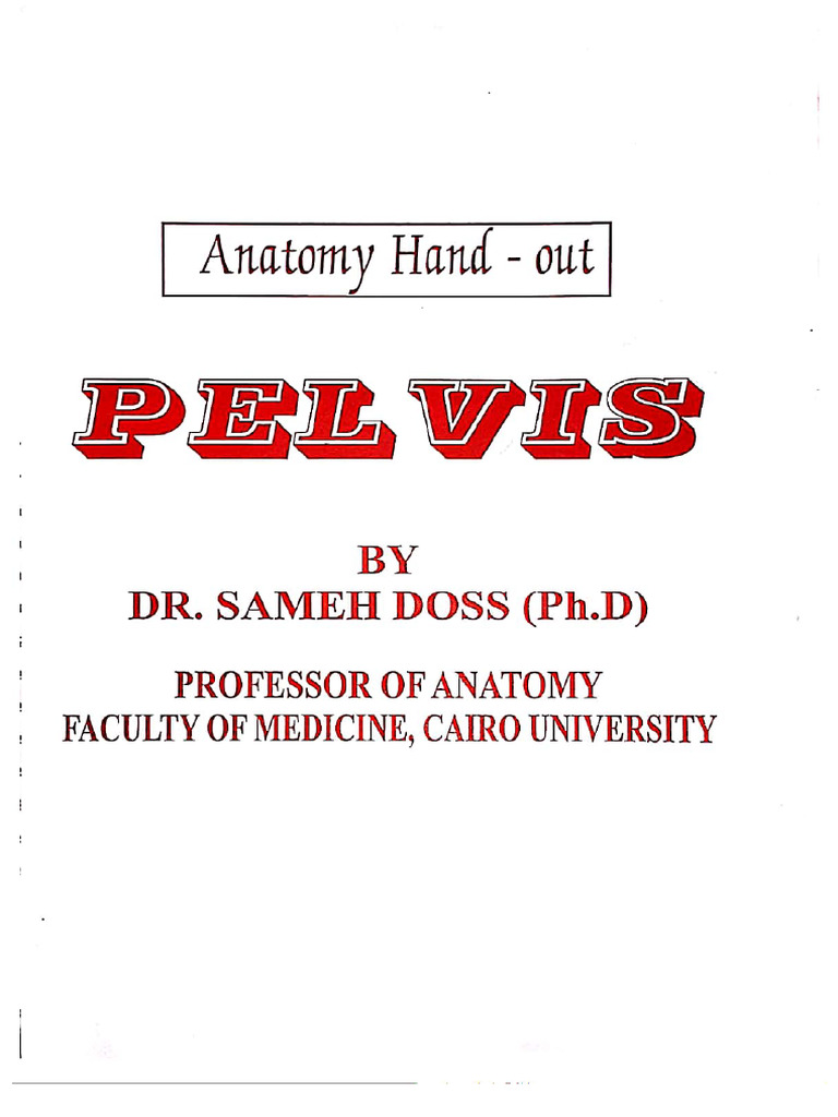 Anatomy of Pelvic Perineum Sameh Doss | PDF