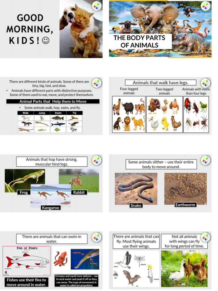 cds3 Sci Body Parts | PDF