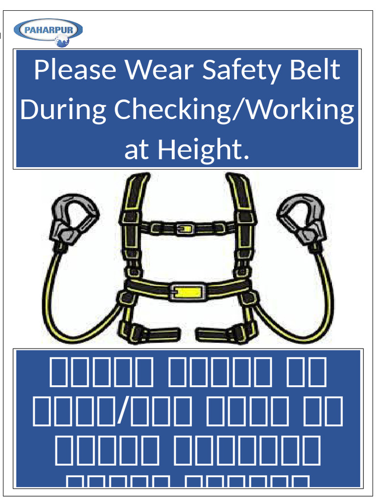 Safety Belt Use | PDF