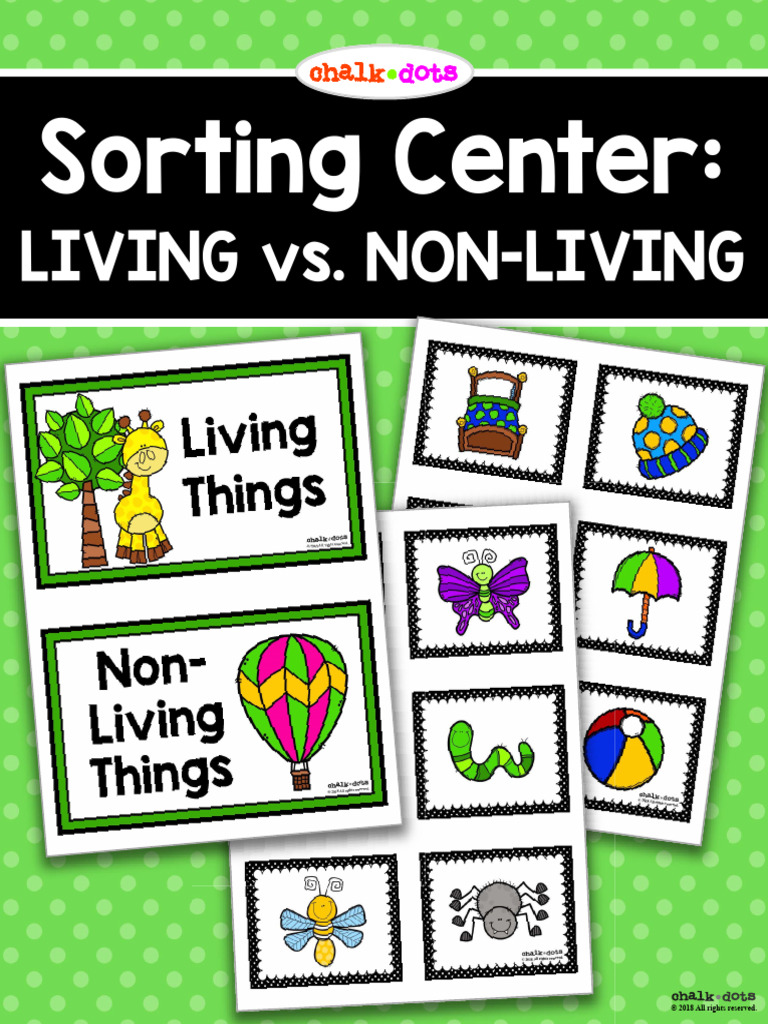 3 - Living vs. Non-Living Sorting | PDF