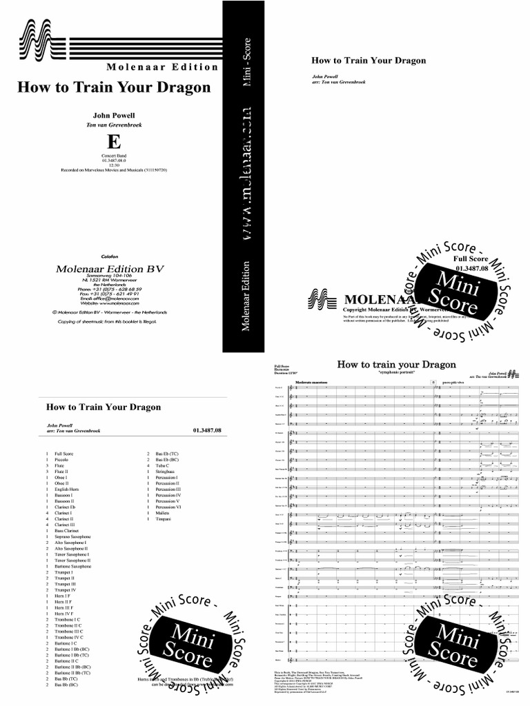 Mini Score | PDF