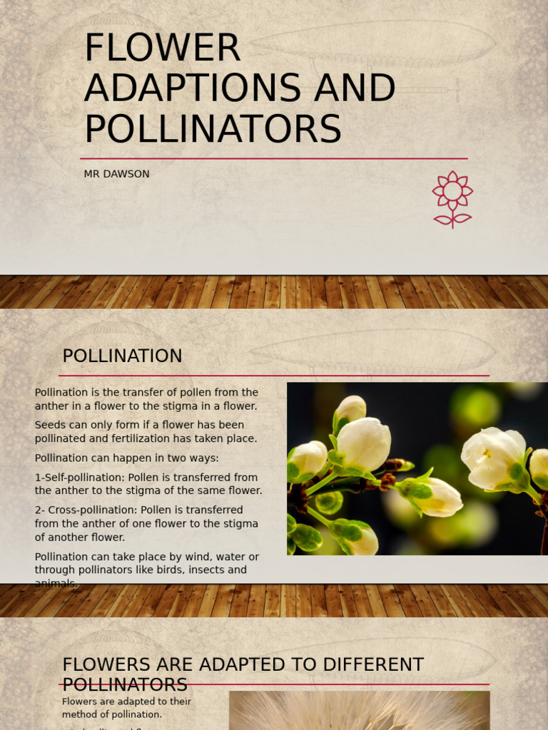 Flower Adaptions and Pollinators | PDF | Flowers | Pollination