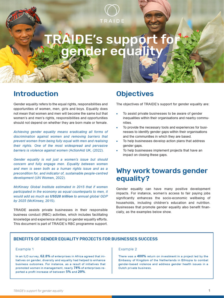 TRAIDE's Gender Equality Initiatives | PDF | Gender Studies | Gender ...