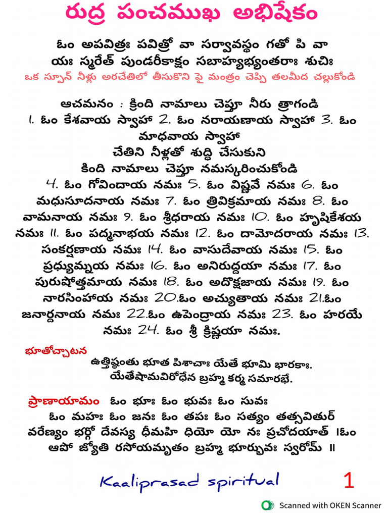 Rudra Pancha Mukha Abhishekam | PDF