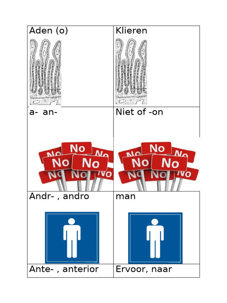Flashcards IVB | PDF