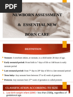 Newborn Physical Exam Template | PDF | Infants
