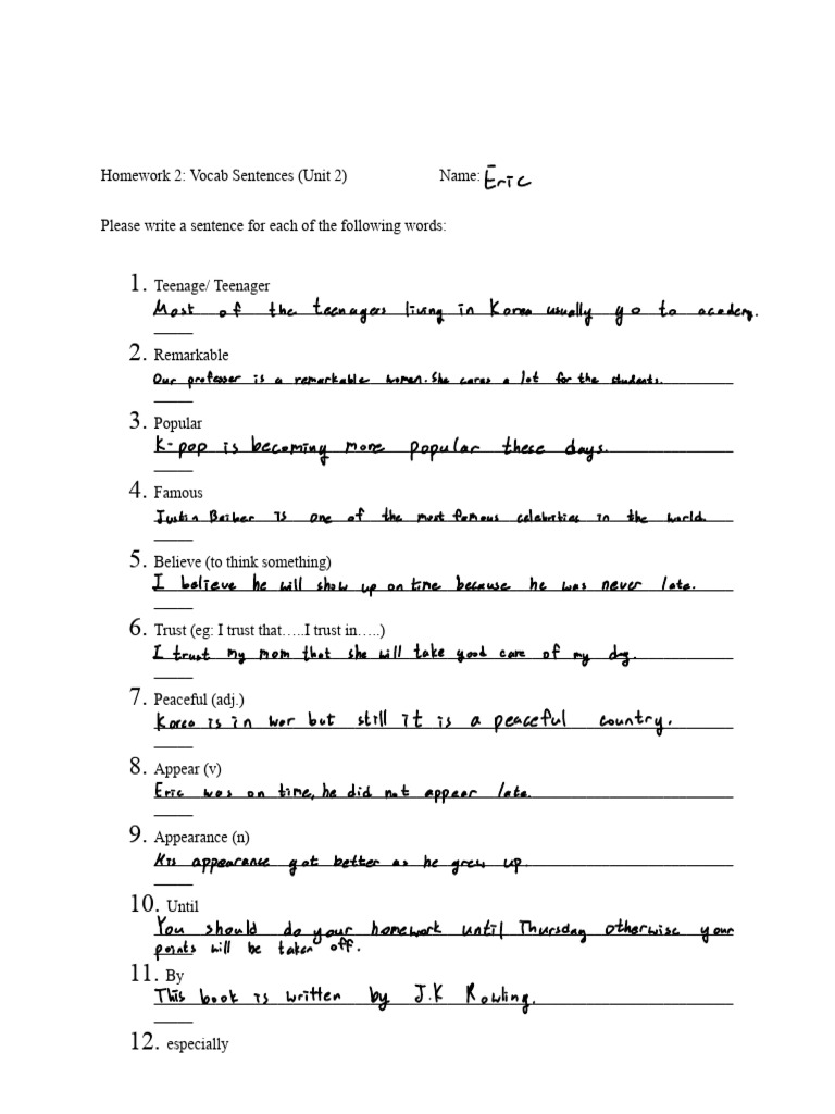 Vocab Sentence Homework Assignment | PDF