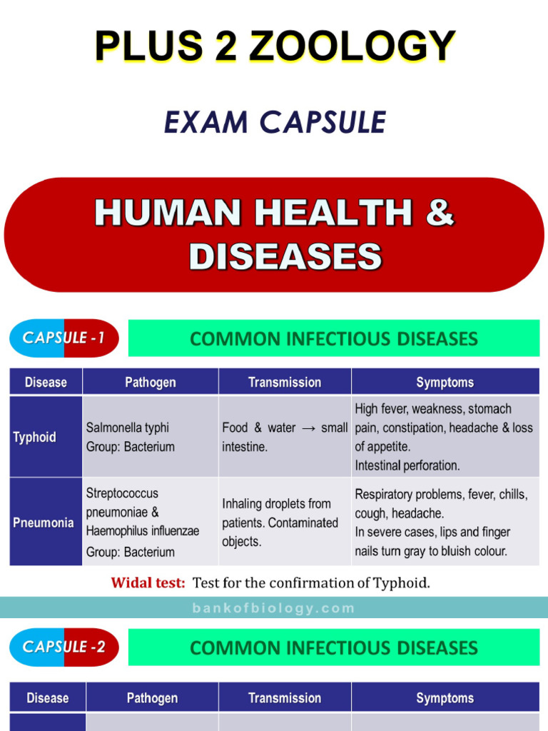 8 Human Health - Exam Capsule PDF Slides | PDF