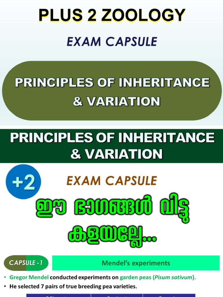 5 Principles of Inheritance N Variation - Exam Capsule PDF Slides | PDF