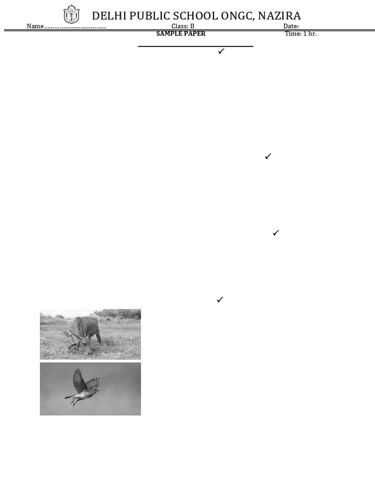 Sample Admission Test Paper Class II | PDF