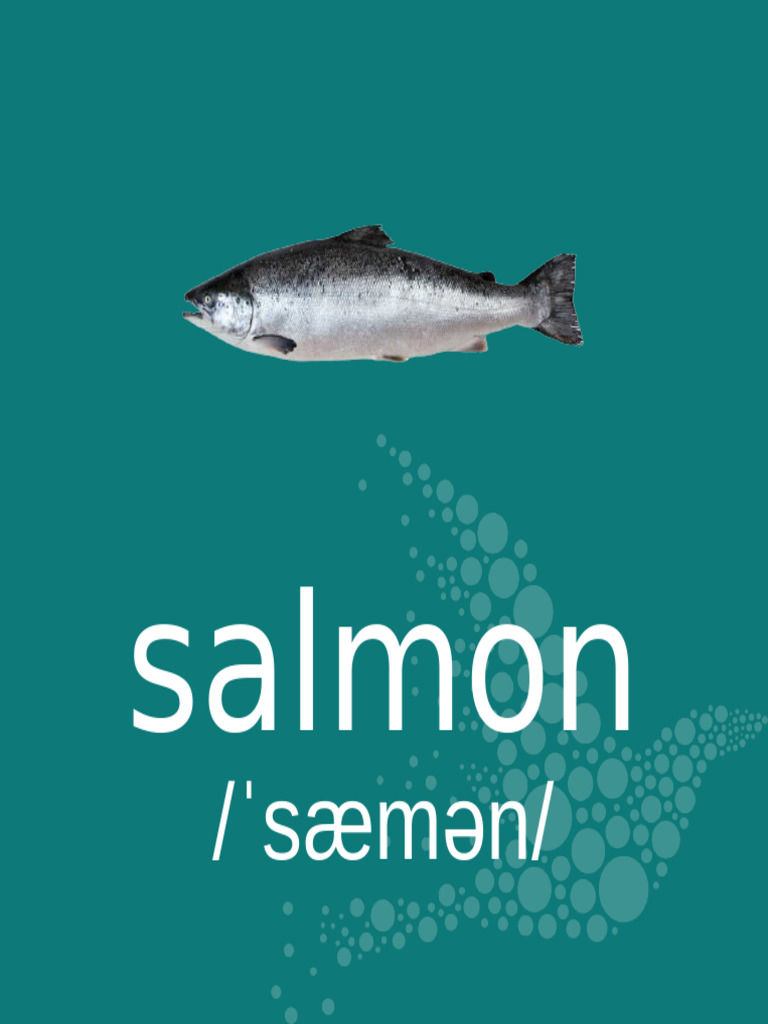 Seafood Vocabulary Guide | PDF
