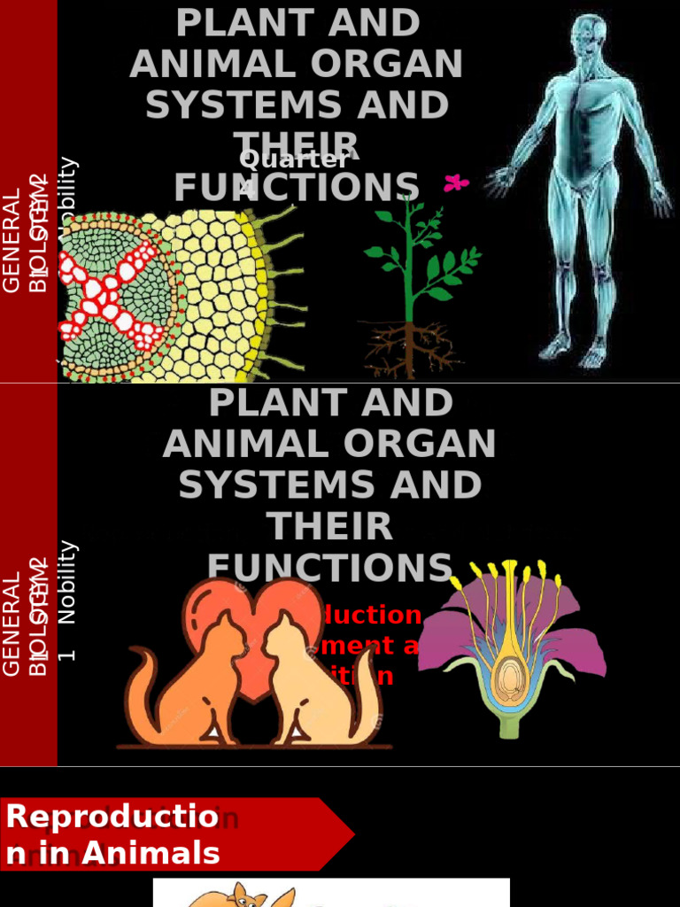 Plant and Animal Reproductive Systems | PDF | Sexual Reproduction ...