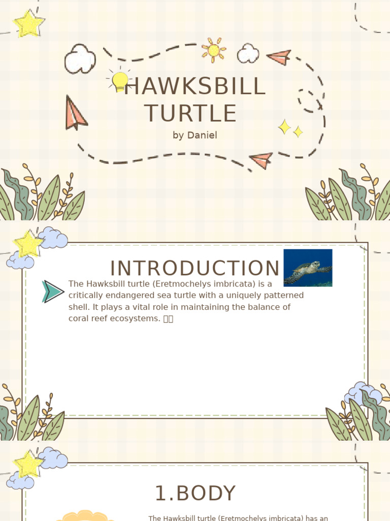 Hawksbill Turtle: Endangered Species Overview | PDF