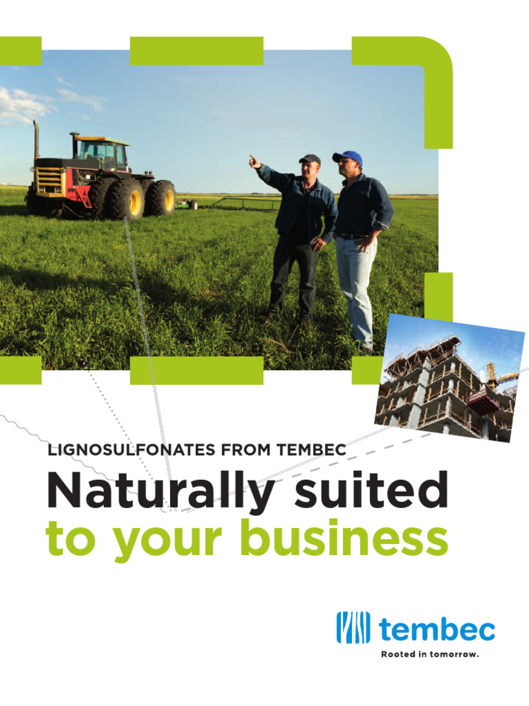 Tembec Lignosulfonates Brochure | PDF | Forest Stewardship Council ...