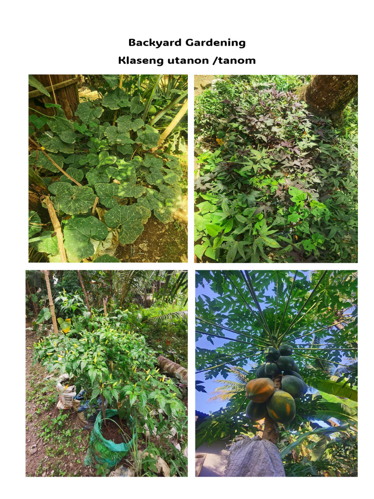 4fs Requirements | PDF