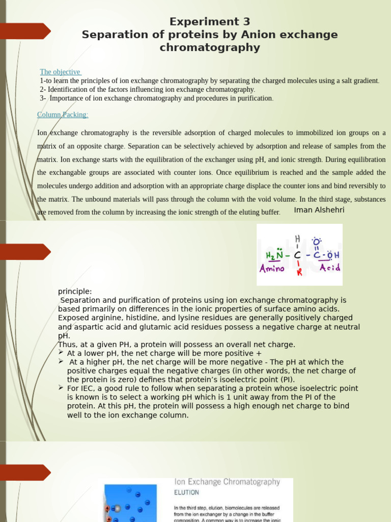 Anion Chromatography | PDF