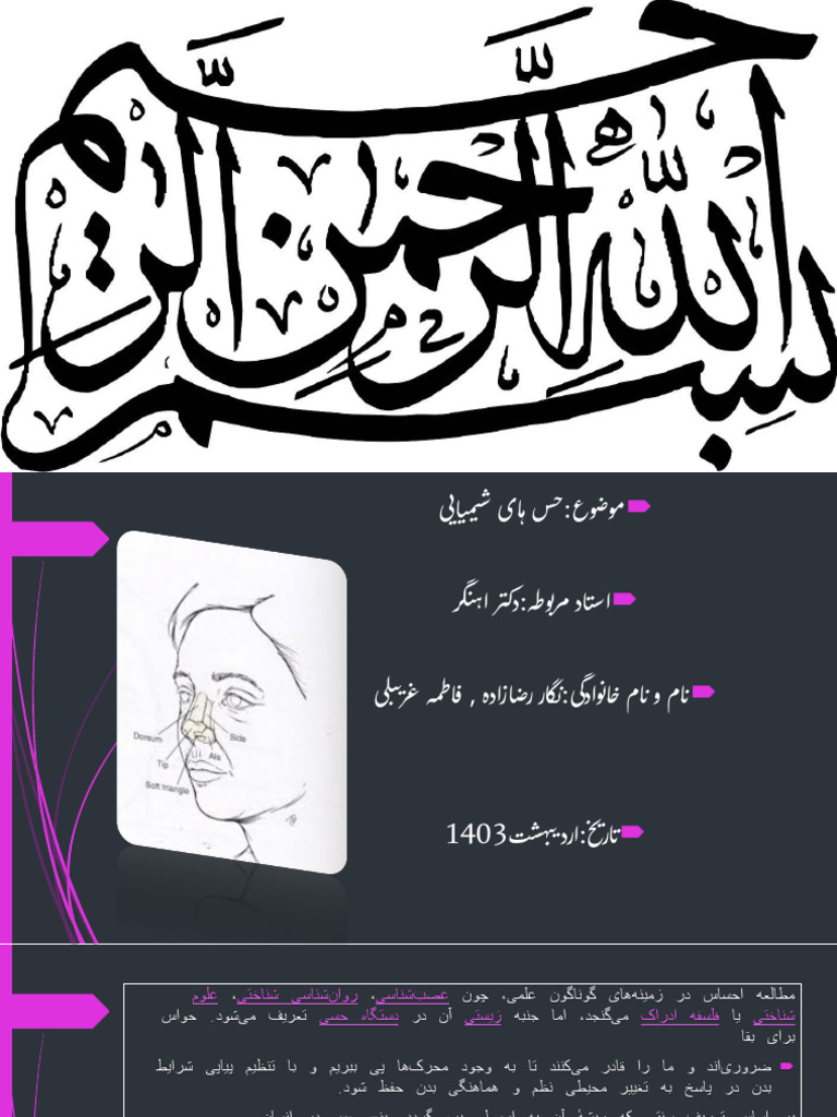 Presentation 3 | PDF