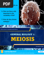 Meiosis Amoeba Sisters | PDF | Meiosis | Mitosis