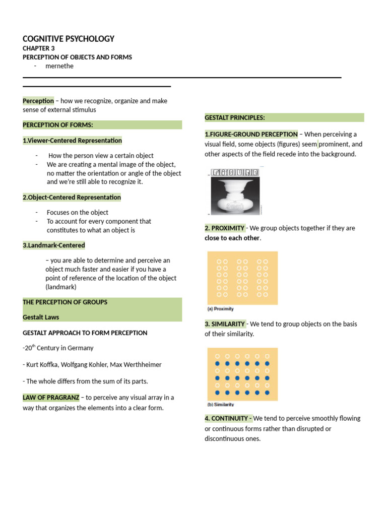 Perception of Objects and Forms | PDF | Perception | Neuropsychology
