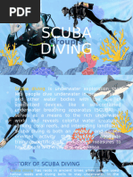 Beginner's Guide to Scuba Diving | PDF | Scuba Diving | Underwater Diving