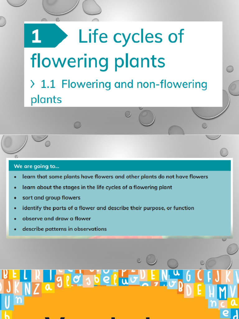 U1L1 Life Cycles | PDF