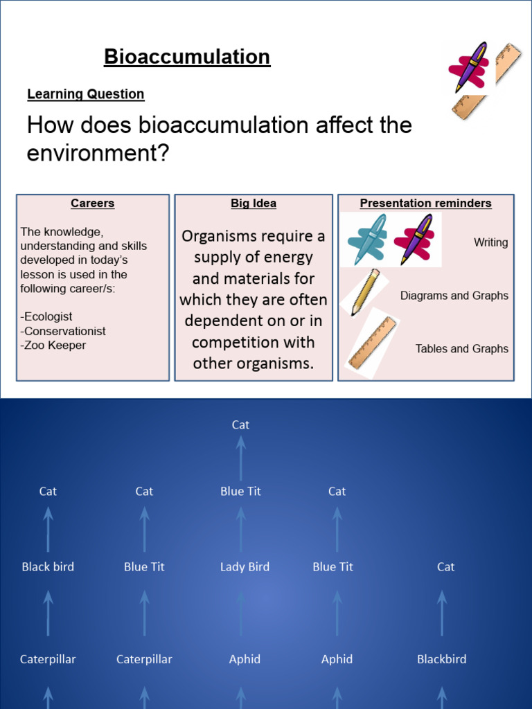 TEACH Bioaccumulation | PDF | Insecticide | Poison