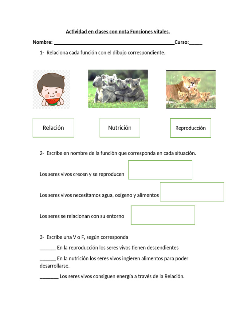 Actividades Sobre Funciones Vitales Pdf