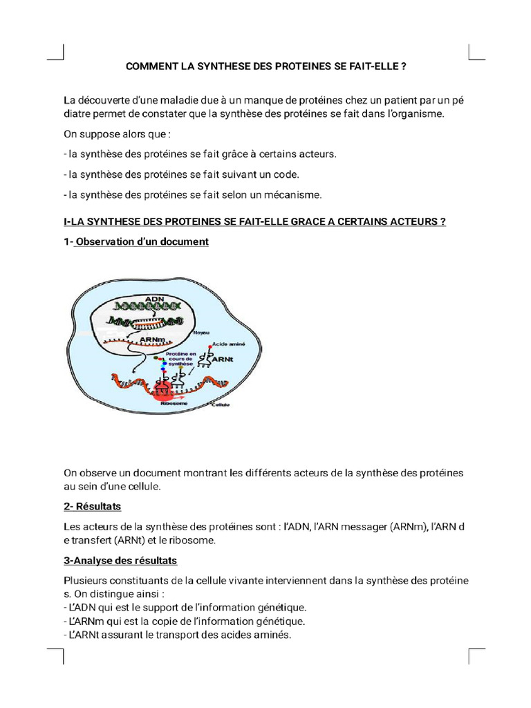 COMMENT LA SYNTHESE DES PROTEINES SE FAIT 2024_Phoenix | PDF
