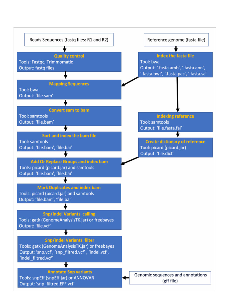 NGS Workflow WGS | PDF